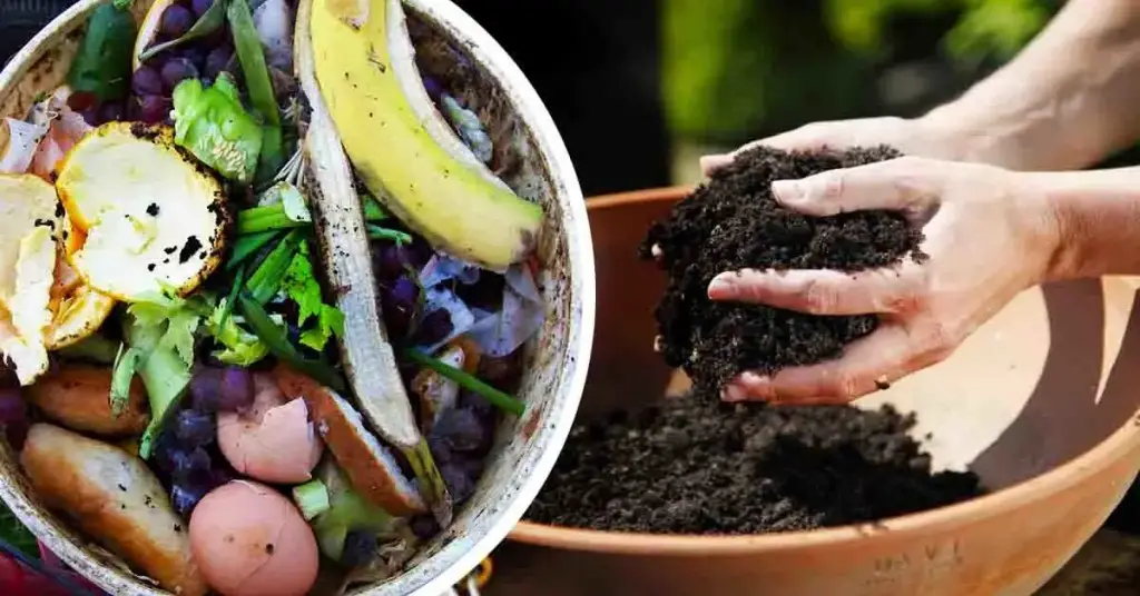 ¿Cómo hacer compost en casa para cultivar tus plantas? 4 sencillos ...